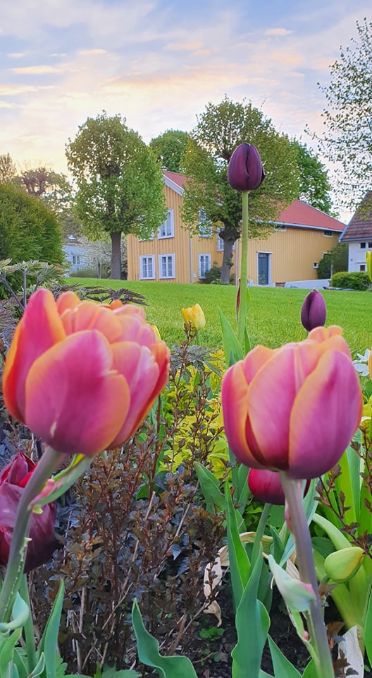 Svelvik - Byen vår Drammen