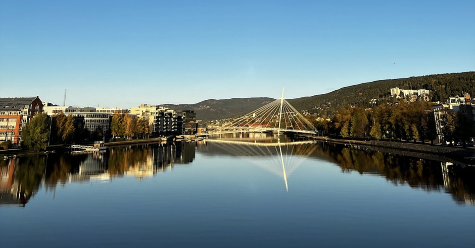 Byvandring i Drammen: "Drammen: fortid, nåtid og fremtid ...